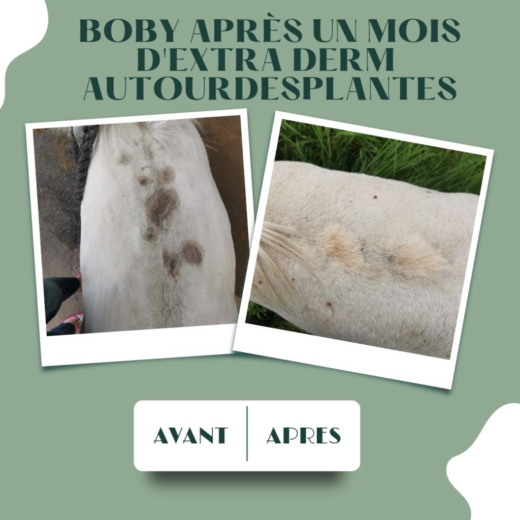 extra derm problème cutané 100g peau en phytothérapie